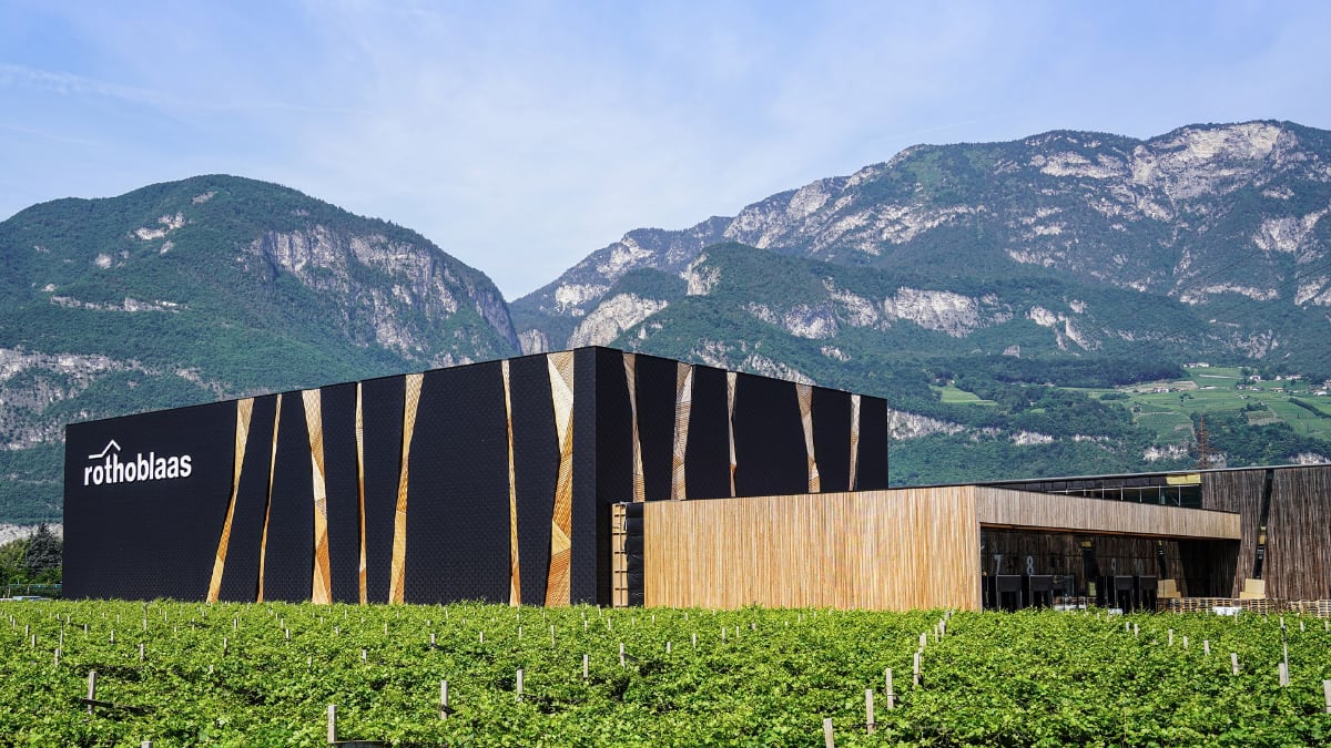 SYSTEMY CHRONIĄCE PRZED UPADKIEM Z WYSOKOŚCI I URZĄDZENIA OCHRONNE